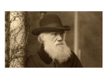 Schools workshop - Darwin | Shropshire Wildlife Trust