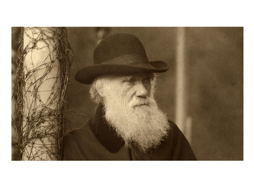 Schools workshop - Darwin | Shropshire Wildlife Trust