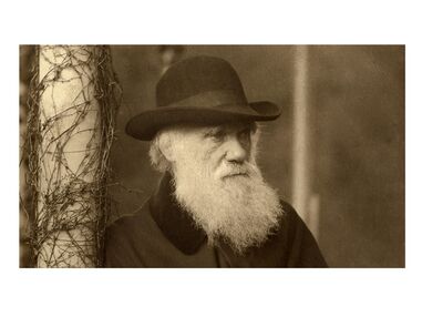 Schools workshop - Darwin | Shropshire Wildlife Trust