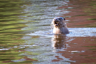 Local branches | Shropshire Wildlife Trust