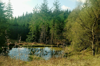 Events | Shropshire Wildlife Trust