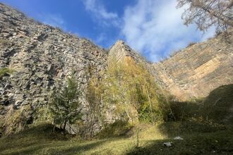 Get involved | Shropshire Wildlife Trust