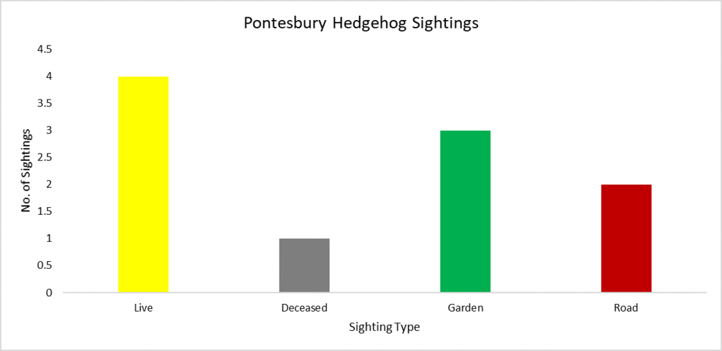 Hedgehog Heroes of Shropshire Surveys | Shropshire Wildlife Trust