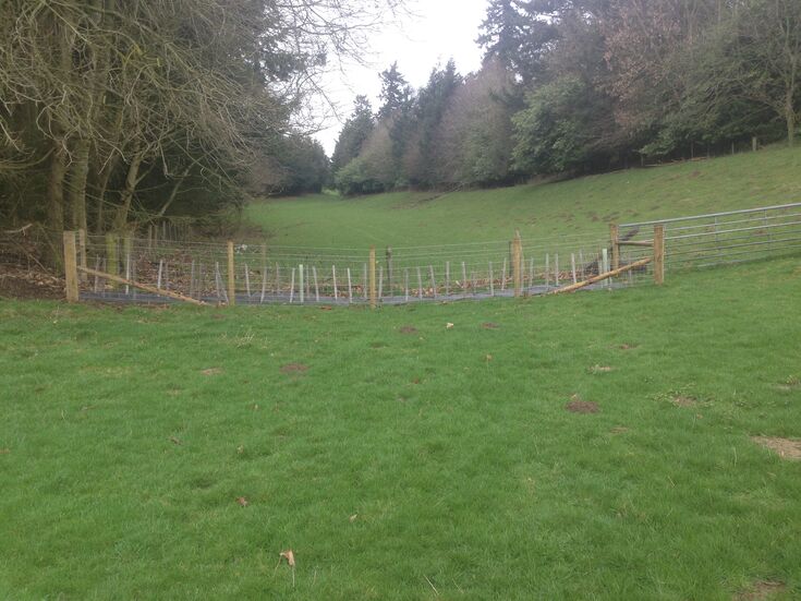 Slow the Flow | Shropshire Wildlife Trust