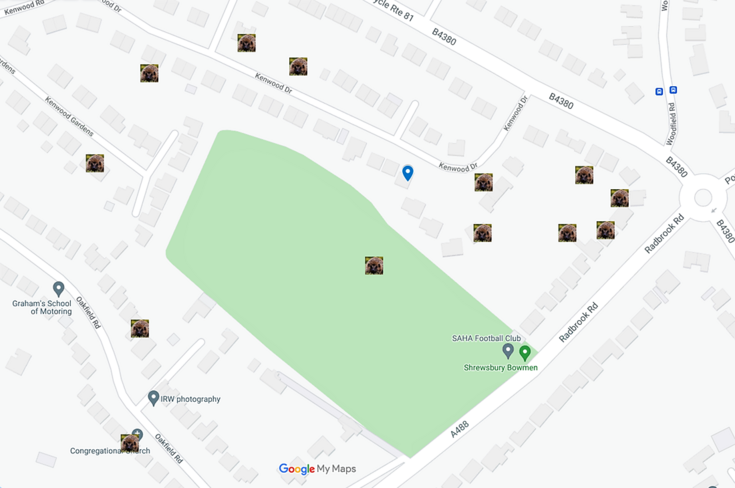 Hedgehog Heroes of Shropshire Surveys | Shropshire Wildlife Trust