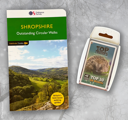 Become a member | Shropshire Wildlife Trust