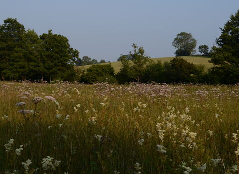 Llynclys Common | Shropshire Wildlife Trust